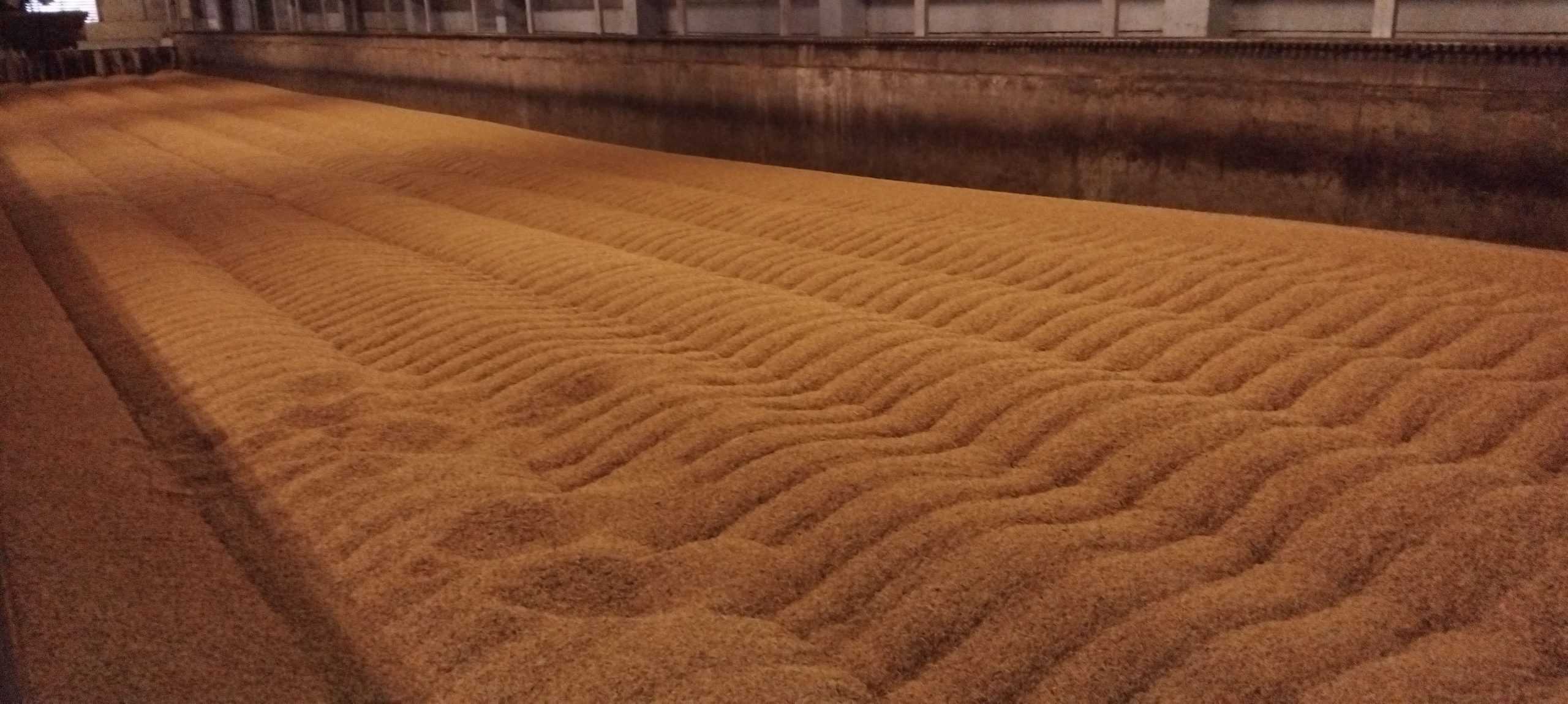 Gondar Malt Factory PLc. | The Official website of Gondar Malt Factory ...
